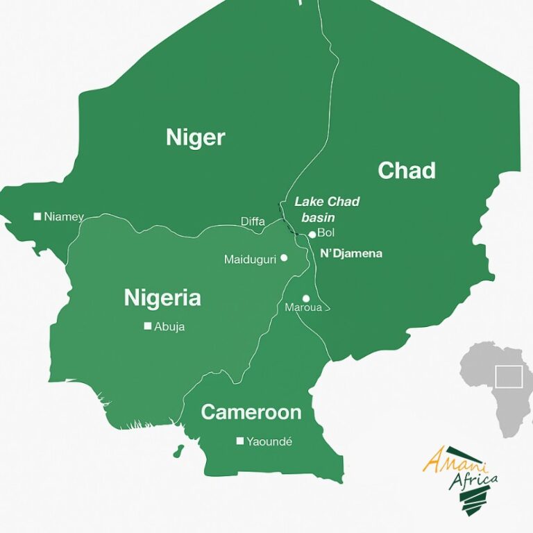 Update on the Situation in the Lake Chad Basin Area - Amani Africa